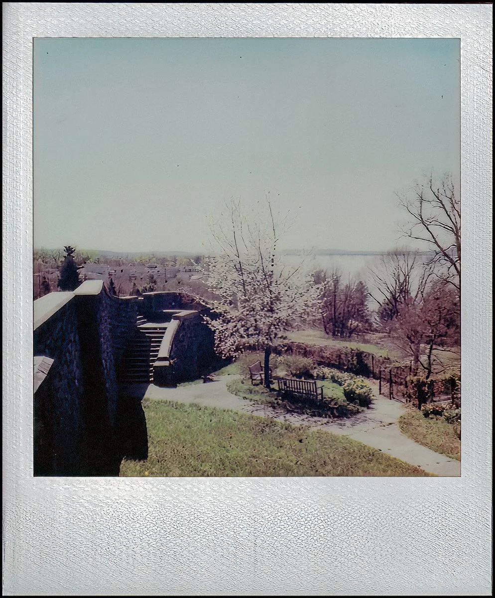 Polaroid I2 — Howard Dale Photography