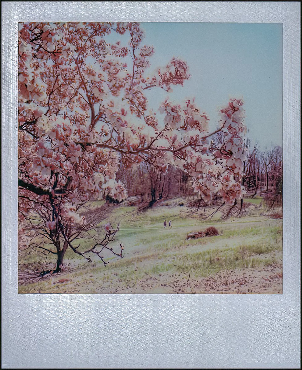 Polaroid I2 — Howard Dale Photography