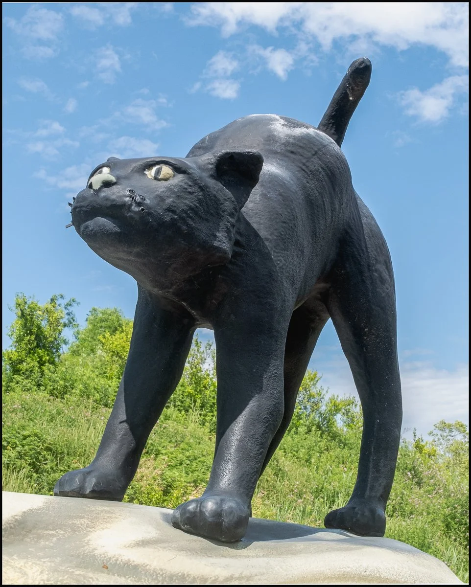 Grounds for Sculpture — Howard Dale Photography