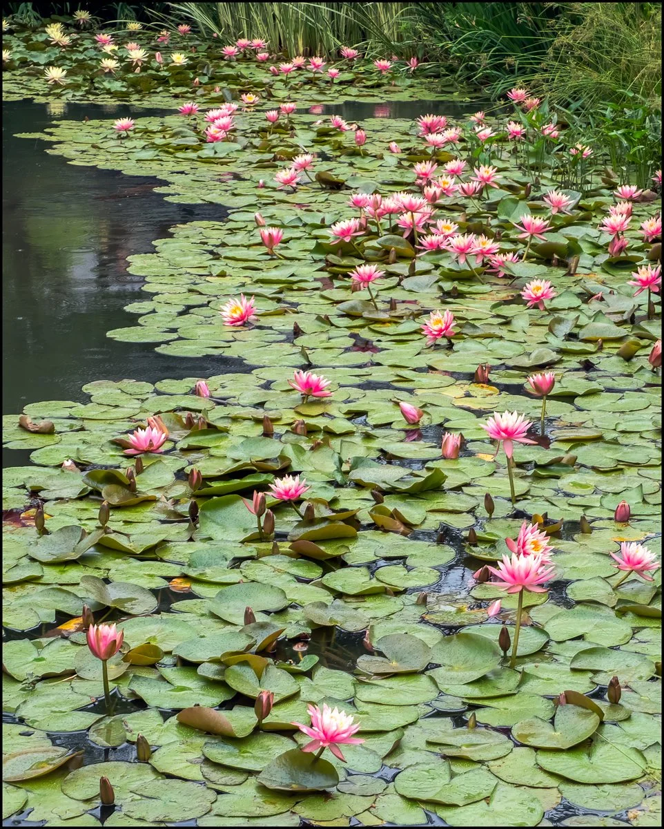 Grounds for Sculpture — Howard Dale Photography
