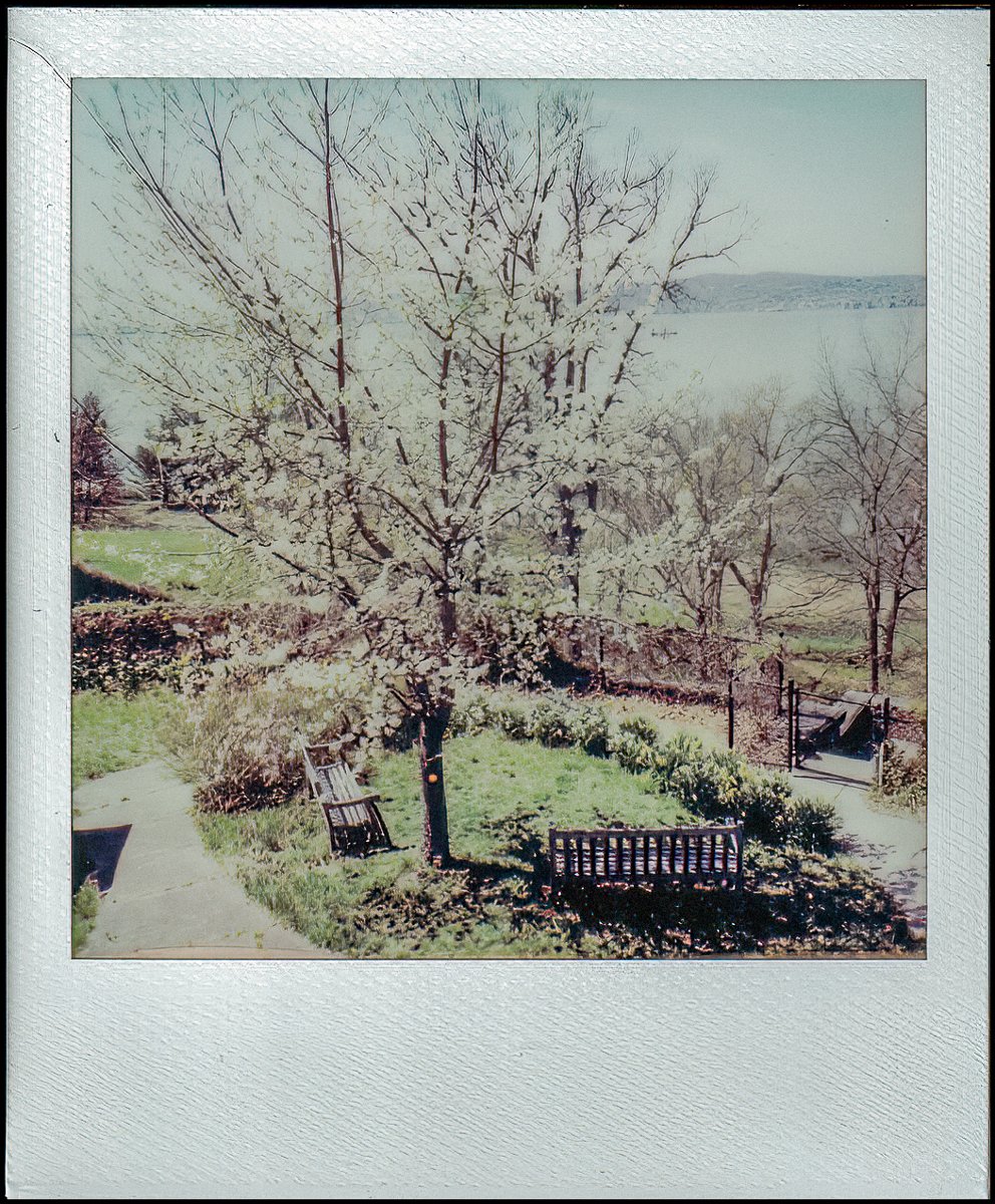 Polaroid I2 — Howard Dale Photography