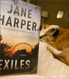 EXILES BY JANE HARPER — Sue Hincenbergs