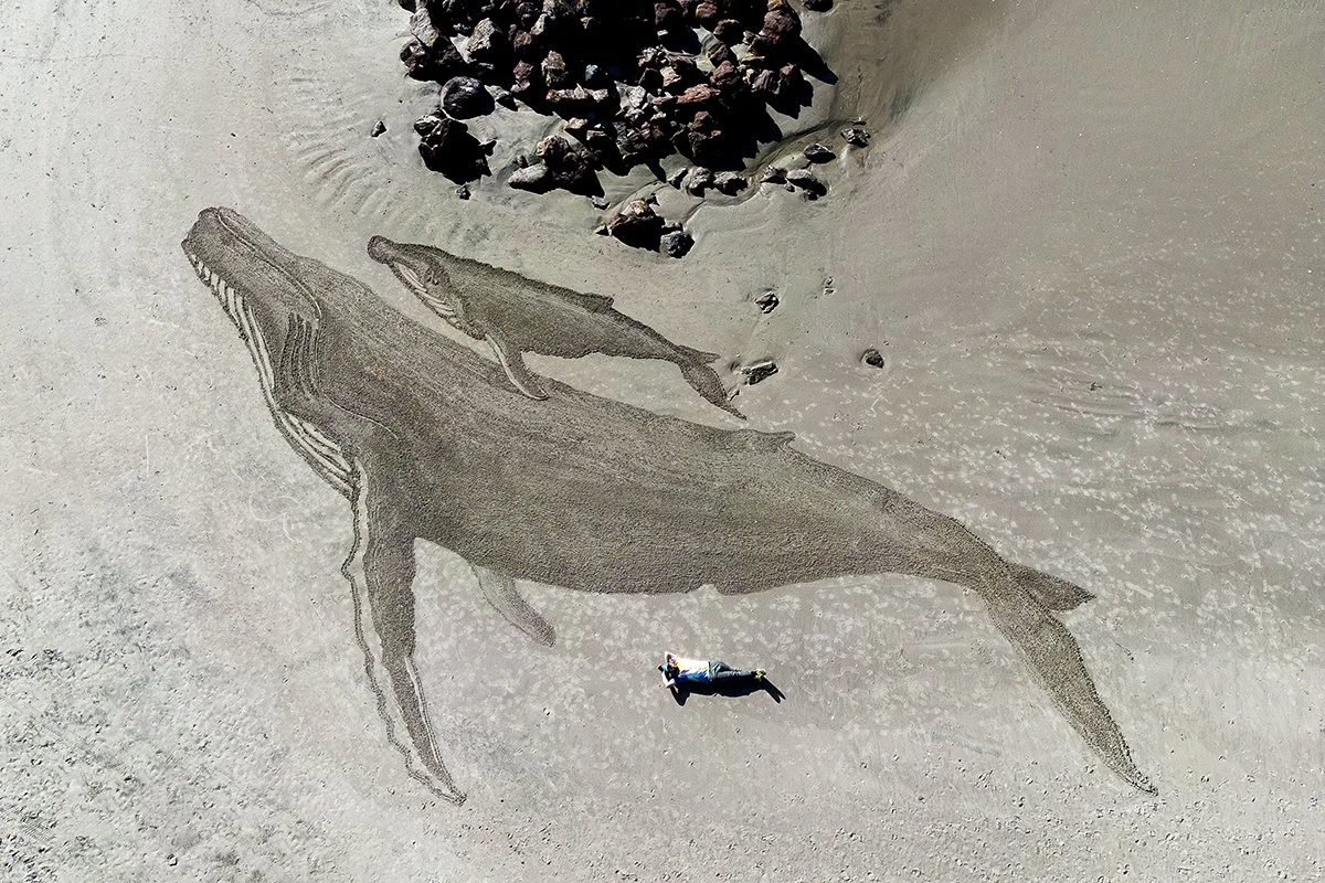 Kenrick Smith – New Zealand Land Artist & Sand Art Specialist | Rake ...