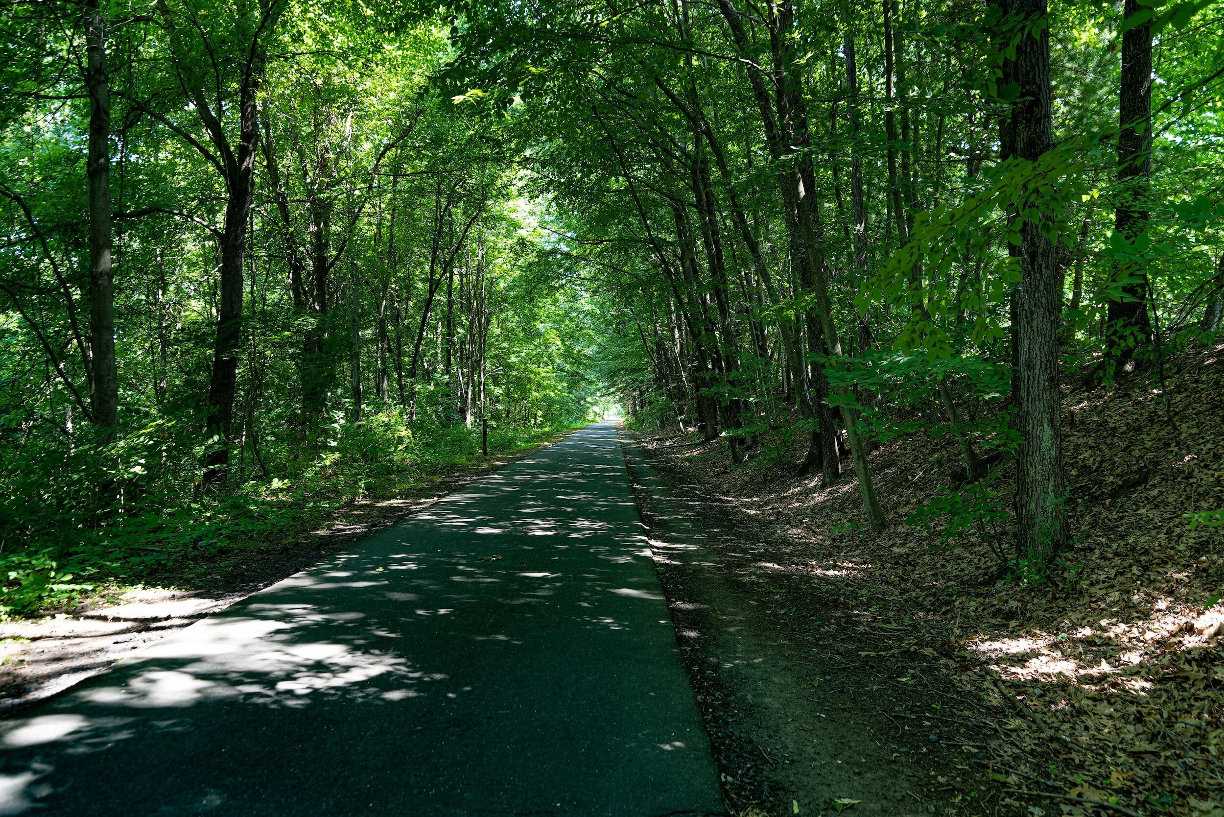 Baldwin County Trails — Baldwin County Trailblazers