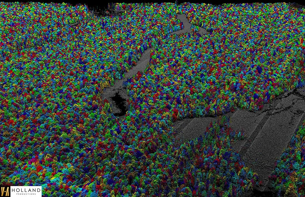LiDAR Tree Segmentation for Forestry: How It Works & Why It Matters