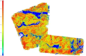 What Is a Canopy Height Model? Uses & Benefits in Forestry