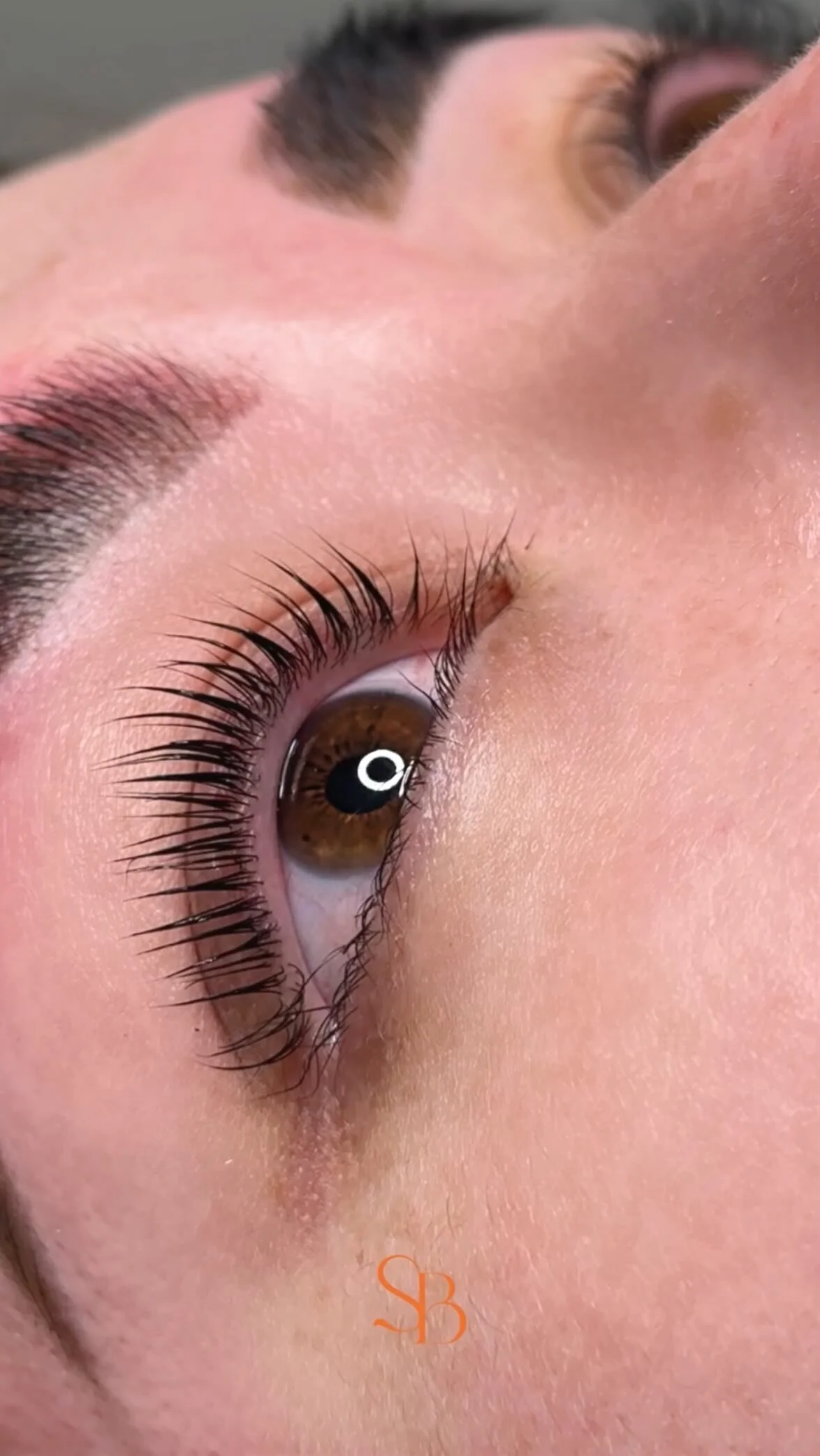 Scarlett Brow Studio