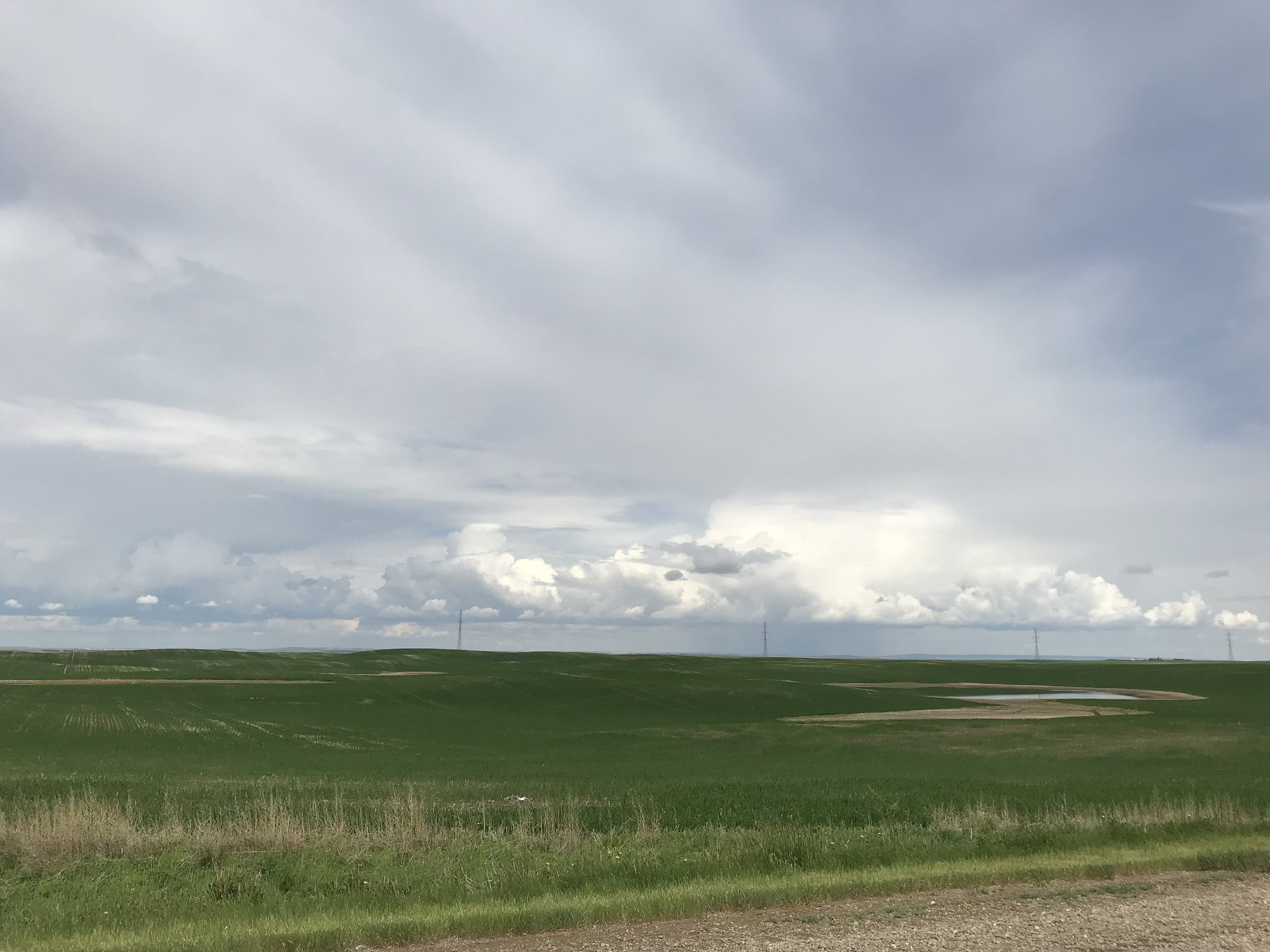 Schedule — Buffalo Plains Wind Farm