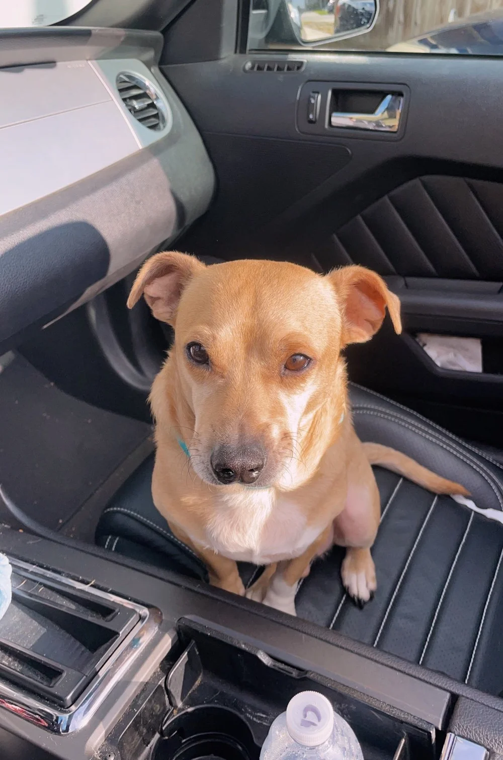 Our Team — Arden Dispatch