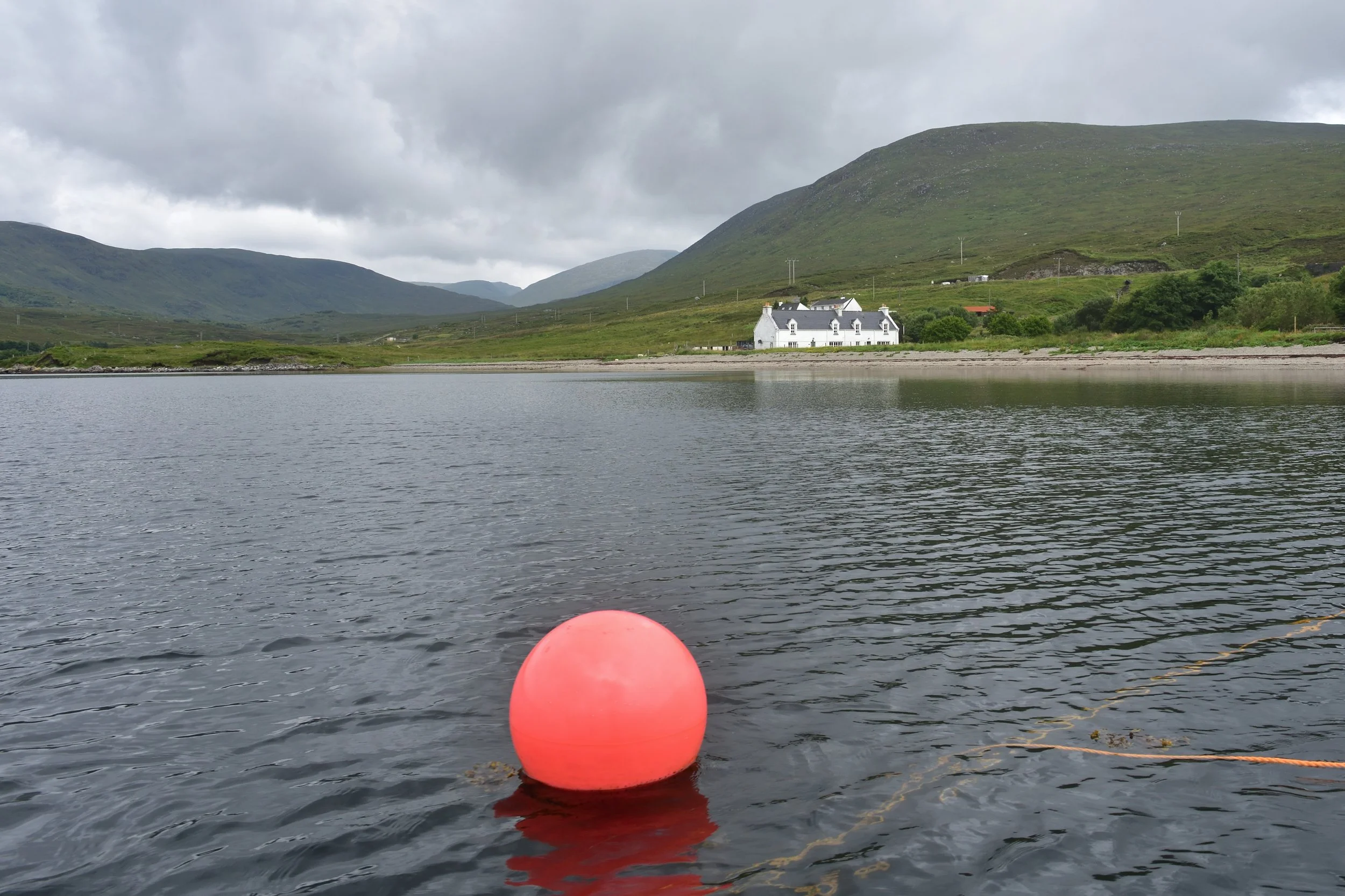 Sporting Opportunities — Aline Estate