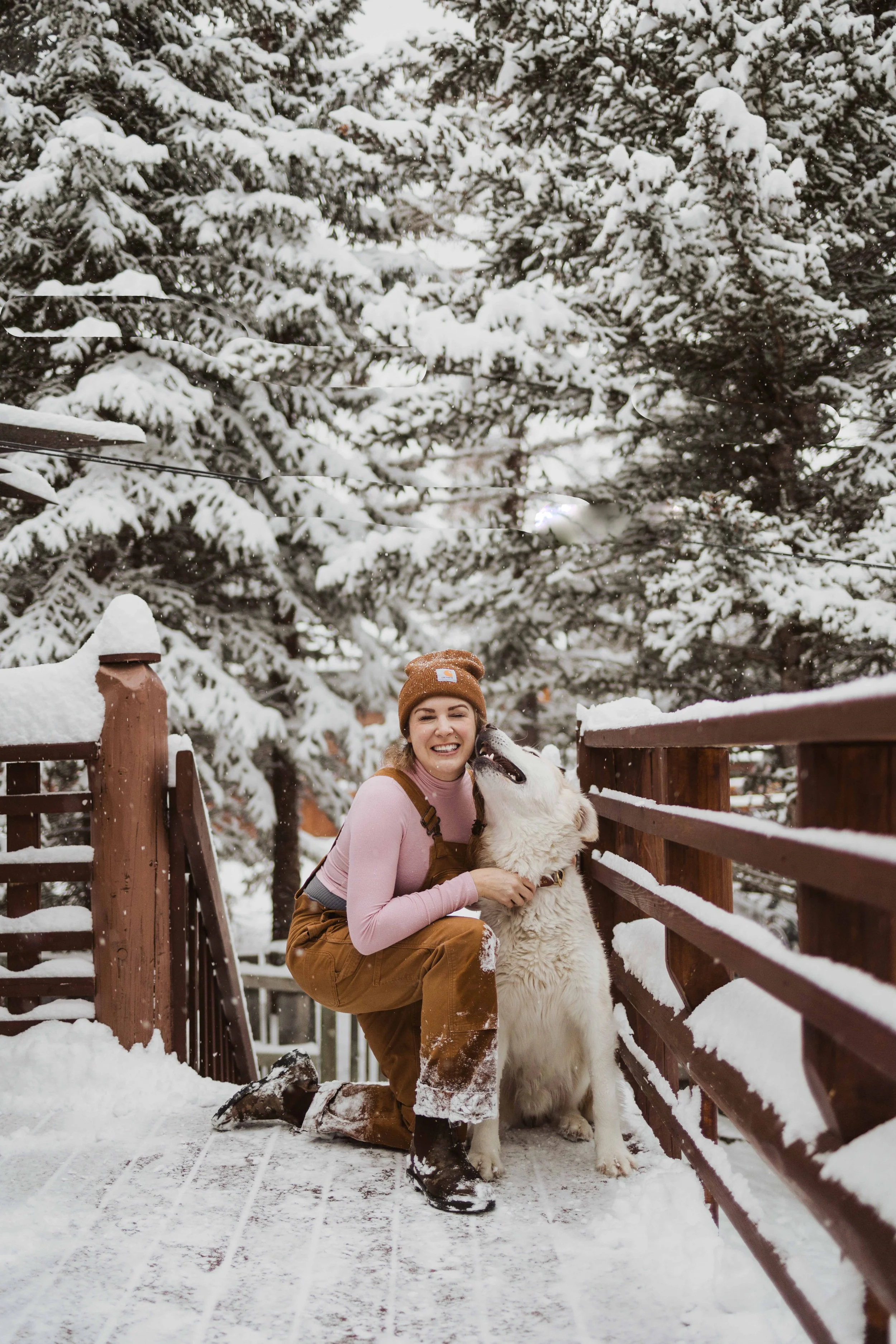 About — The Wild Vow