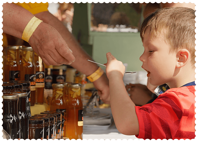 New Forest Food Festival