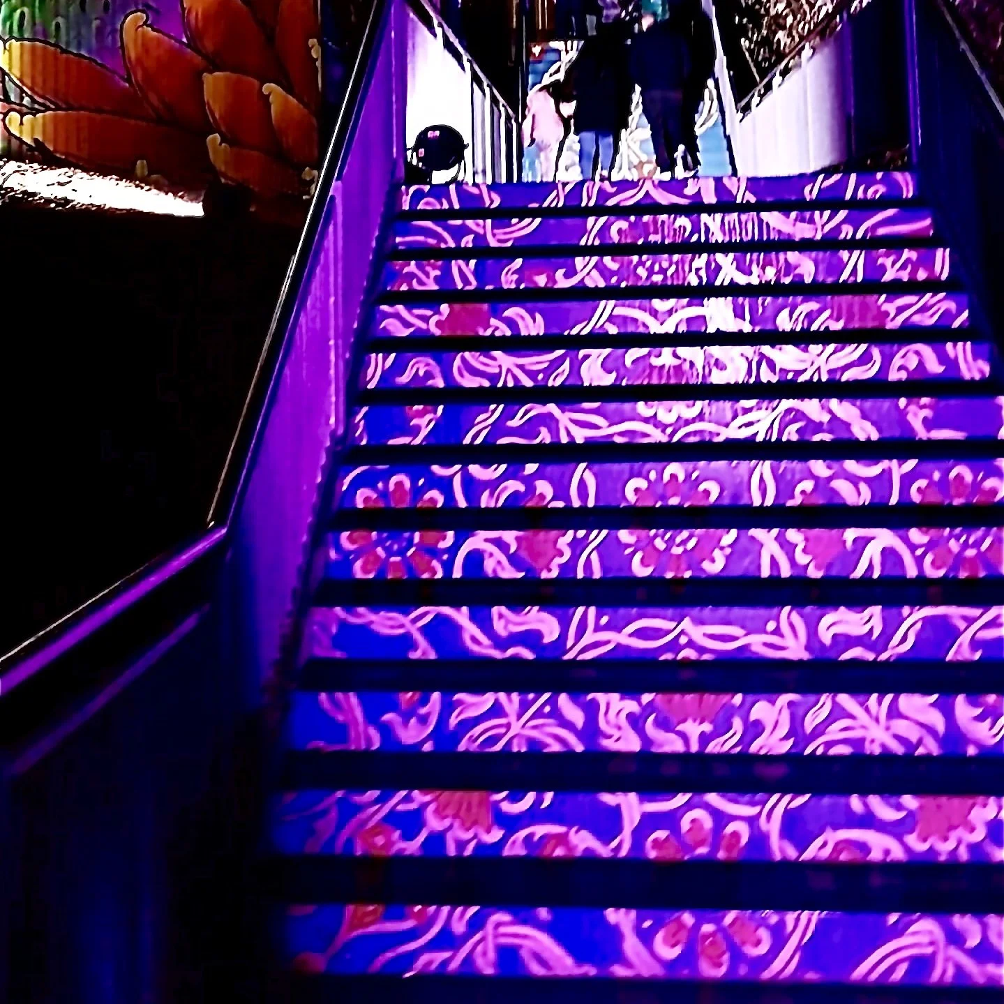 Elizabeth Gleeson muralist - fine artist