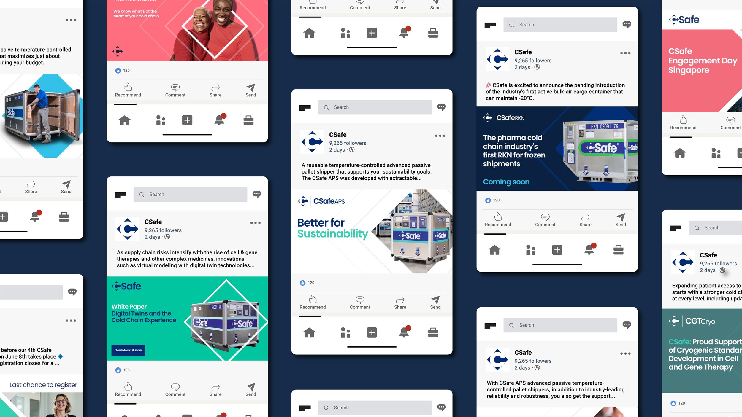 CSafe — SandisonPay
