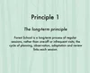 The Forest School Principles — Wildwood Nature School