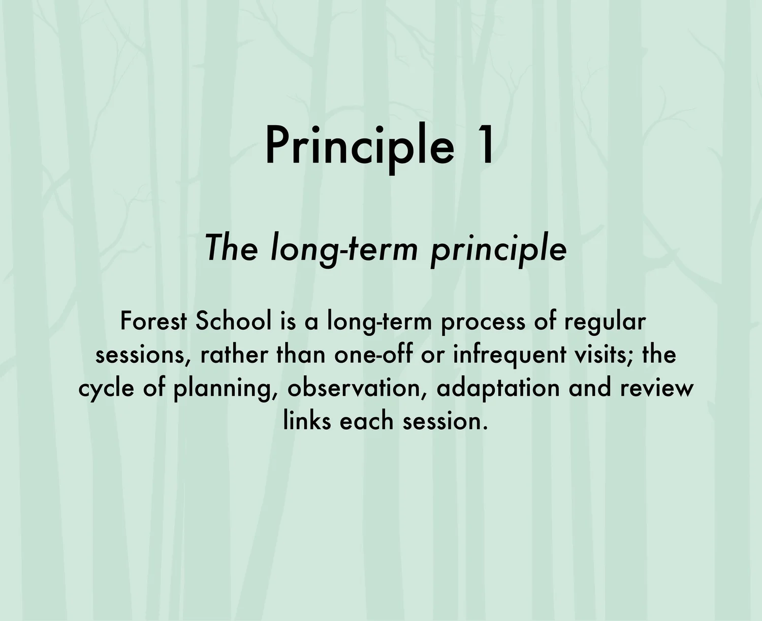 The Forest School Principles — Wildwood Nature School