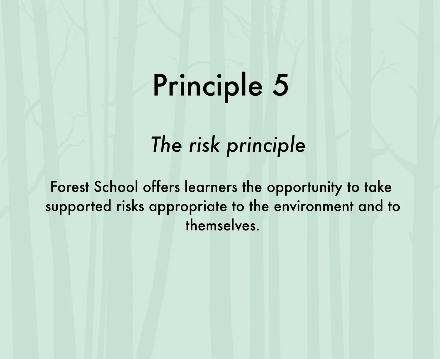The Forest School Principles — Wildwood Nature School