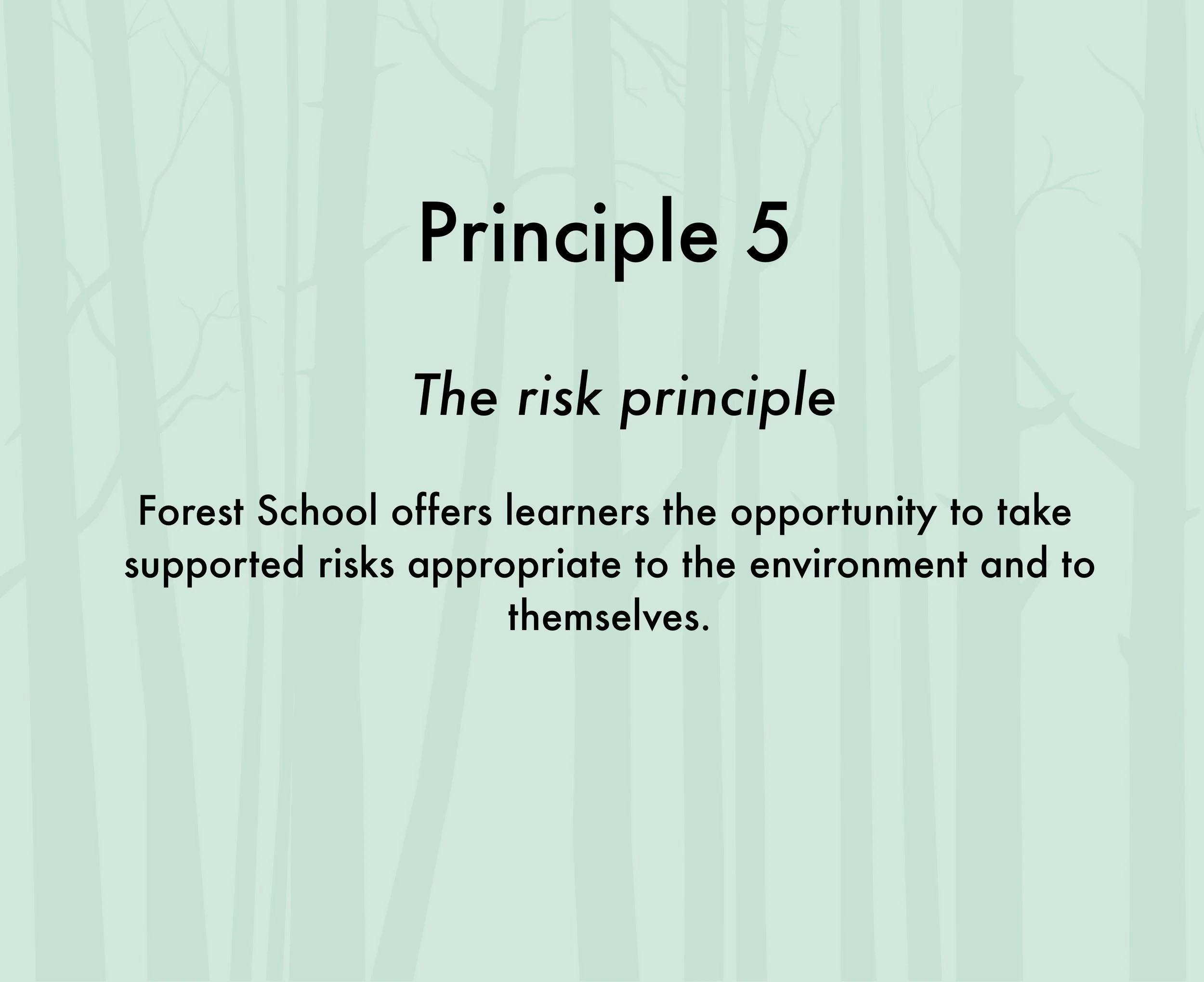 The Forest School Principles — Wildwood Nature School