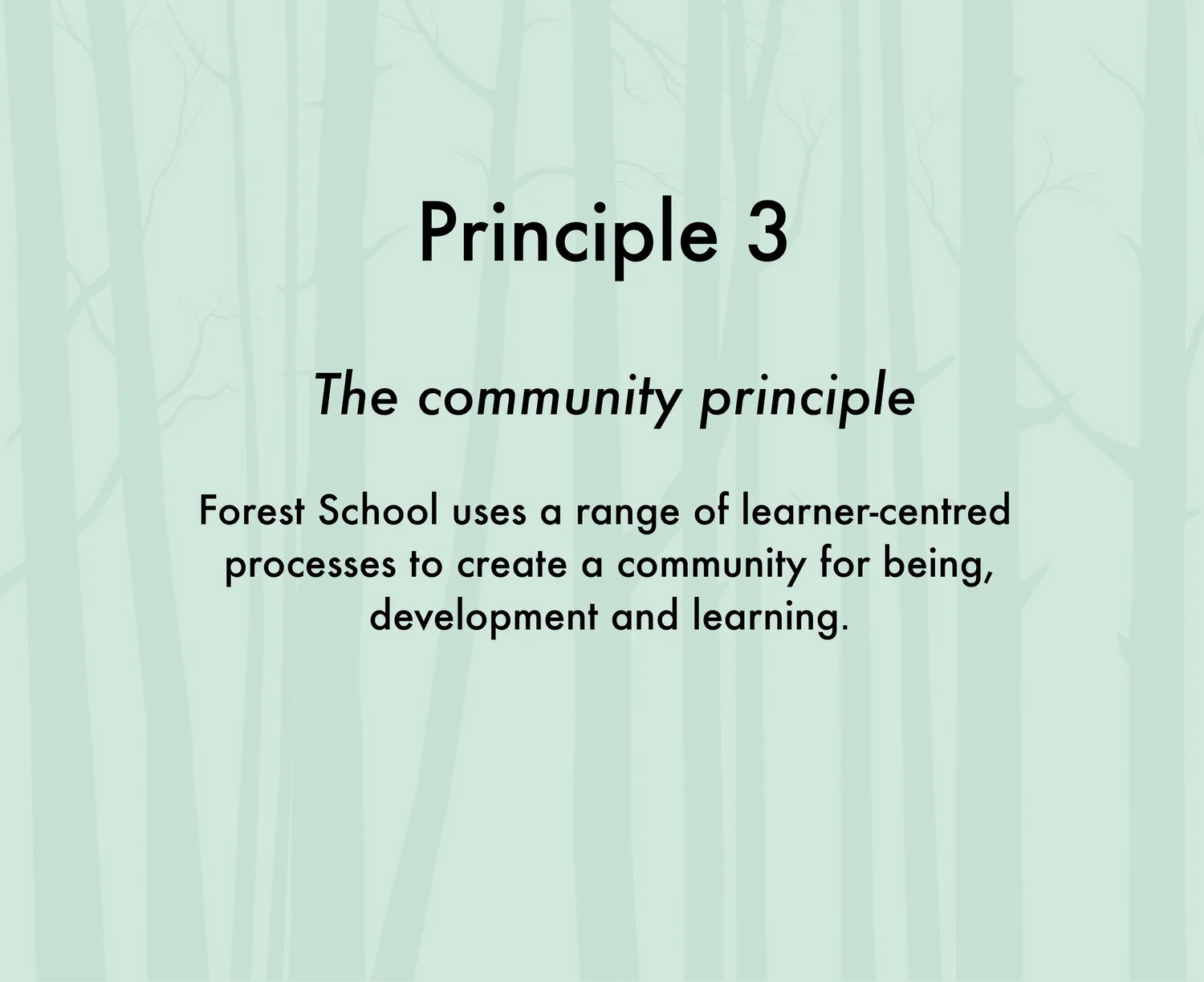 The Forest School Principles — Wildwood Nature School