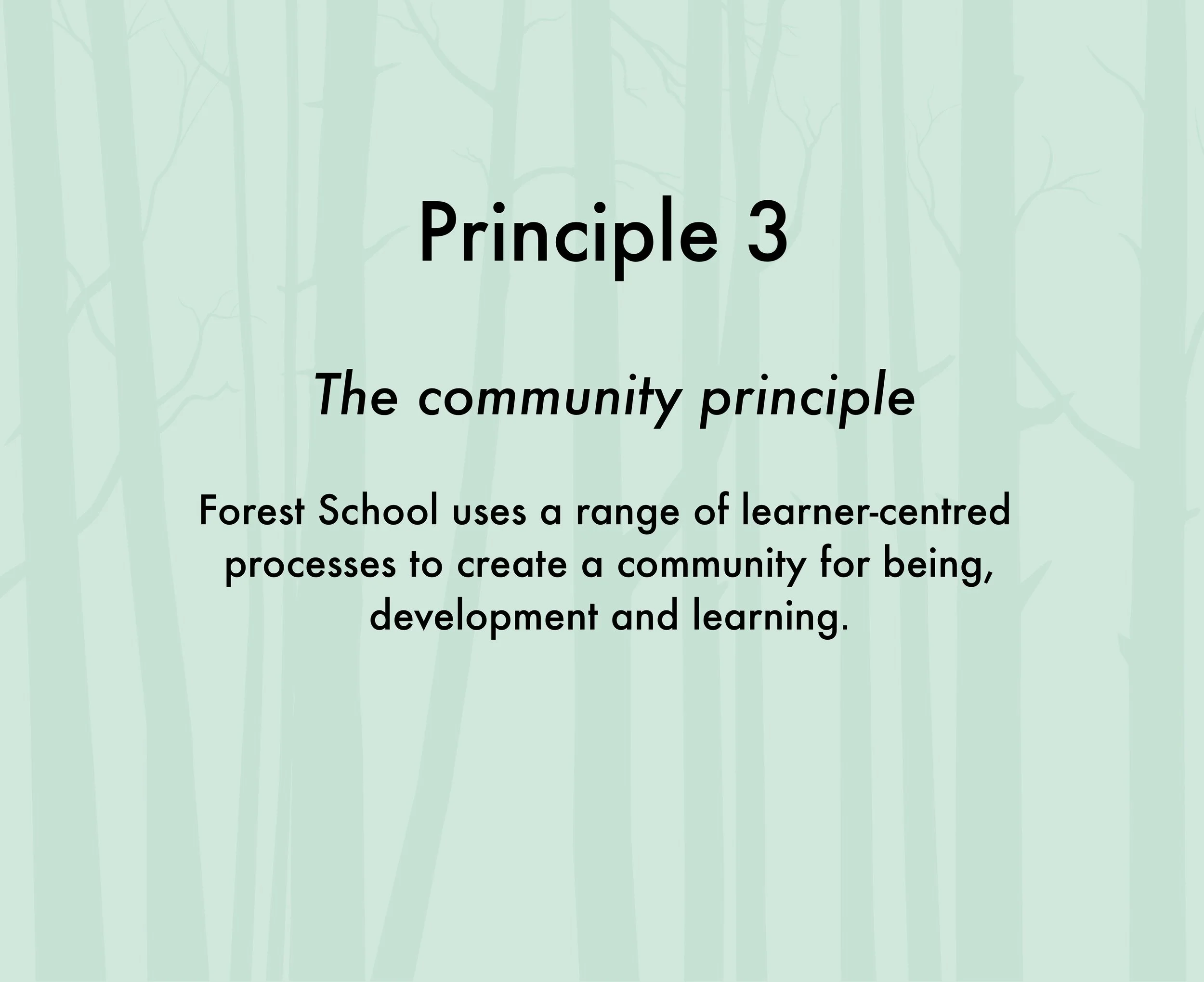 The Forest School Principles — Wildwood Nature School