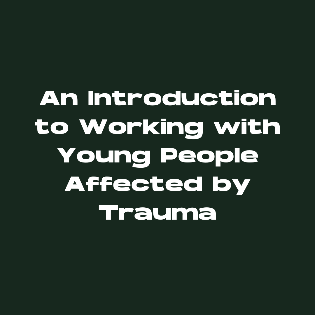 Professional and Organisational Development — Project 507 CIC