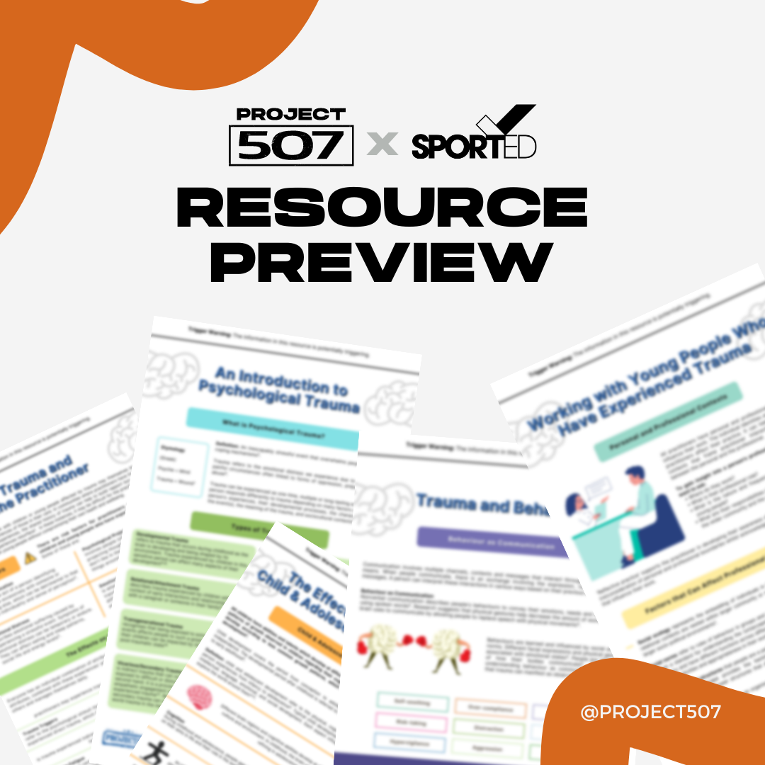 Professional and Organisational Development — Project 507 CIC