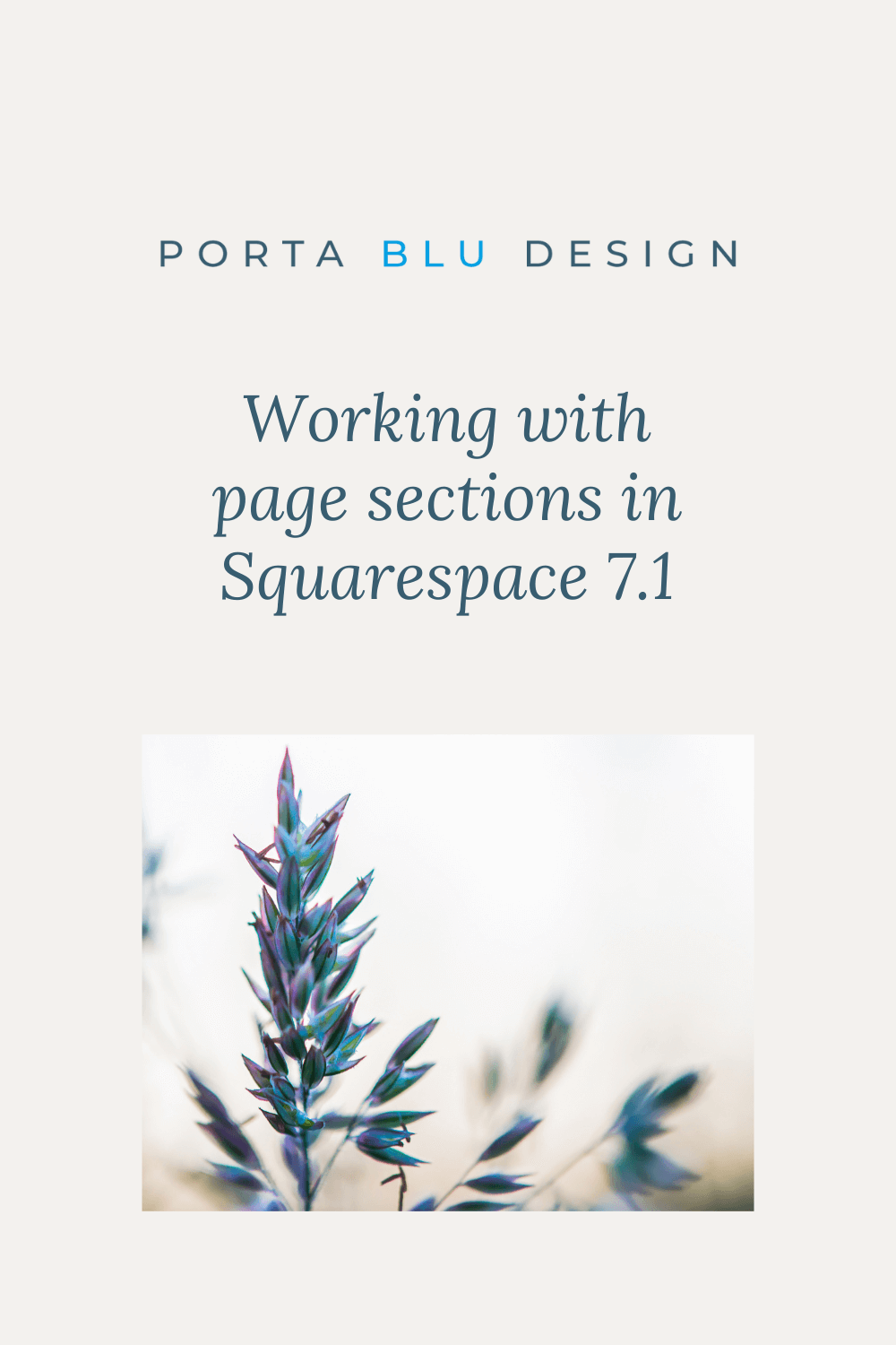 How to work with Squarespace page sections — Porta Blu Design