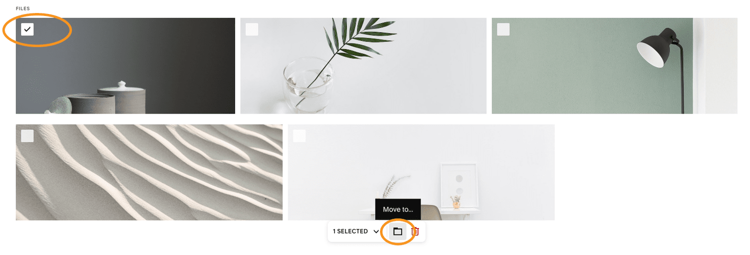 How to organize images in Squarespace — Porta Blu Design