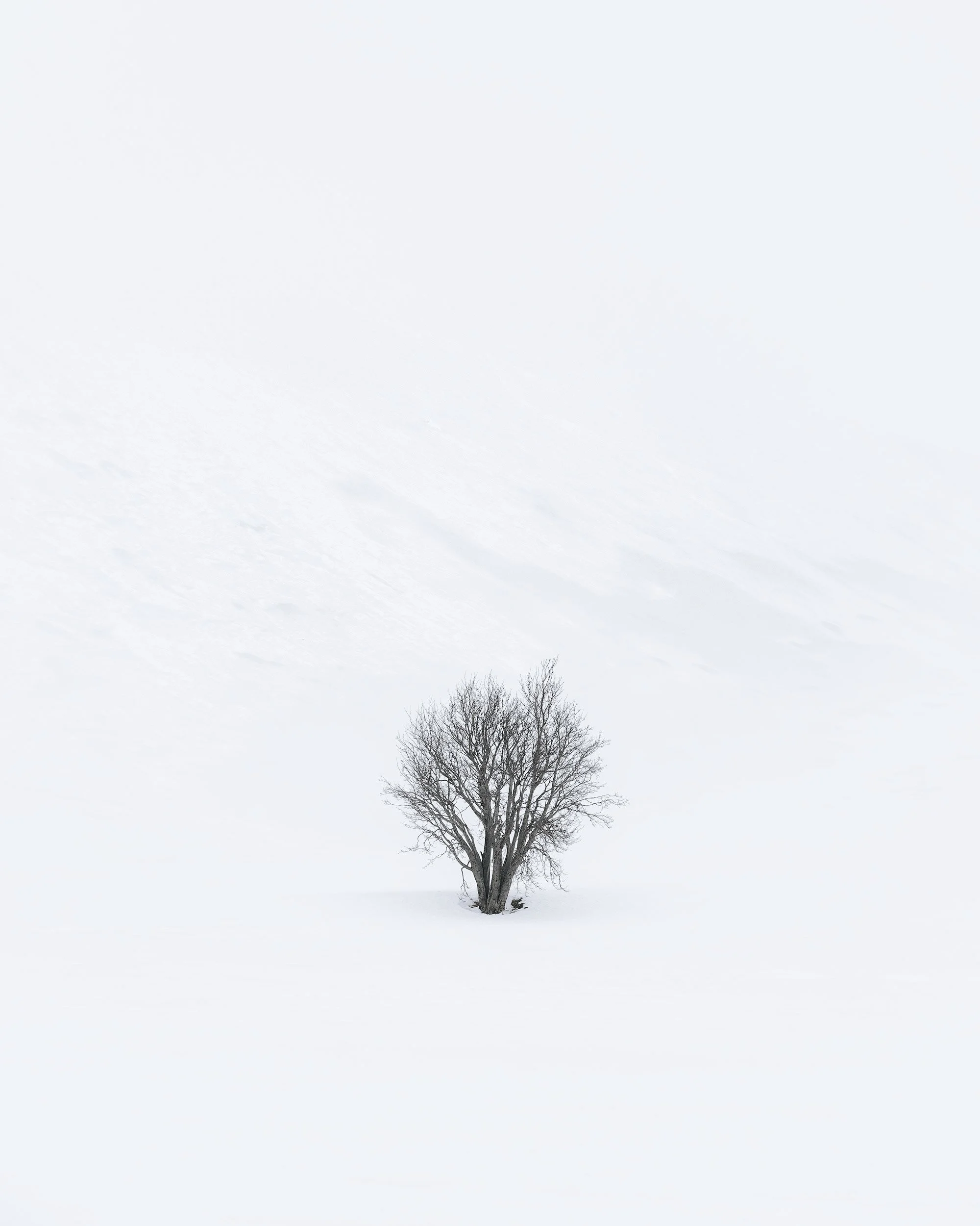 The Minimalist Approach to Landscape Photography