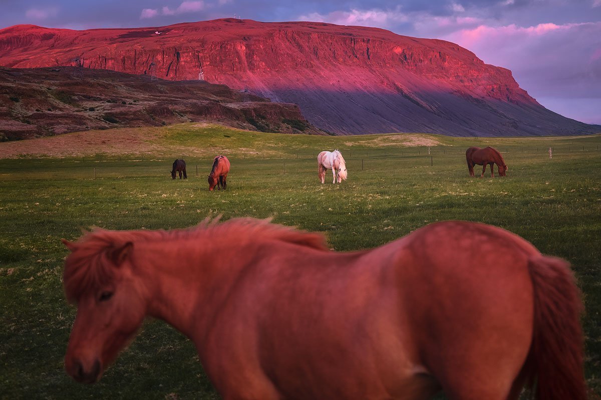 Attractions and Distractions: How to Compose Compelling Landscape ...