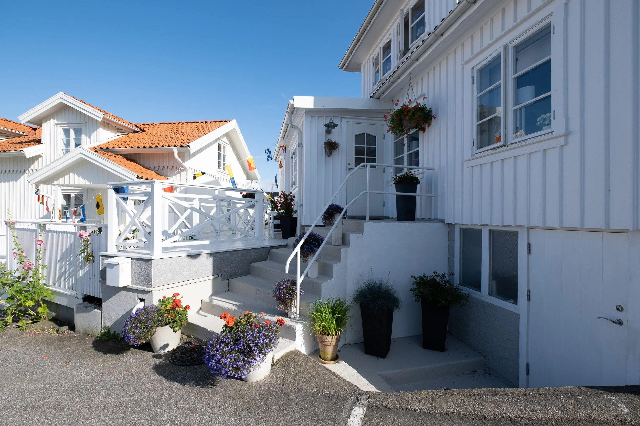 How To Manage RAW and JPEGs Images in Lightroom — Andrea Livieri ...