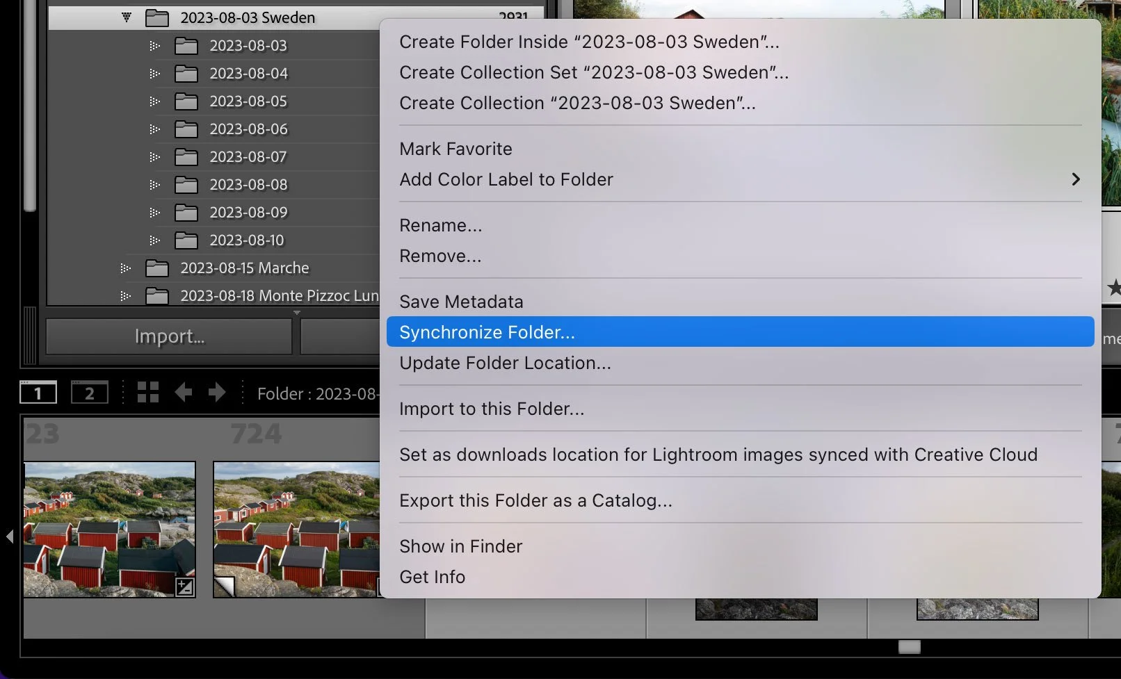 How To Manage RAW and JPEGs Images in Lightroom Like a Pro