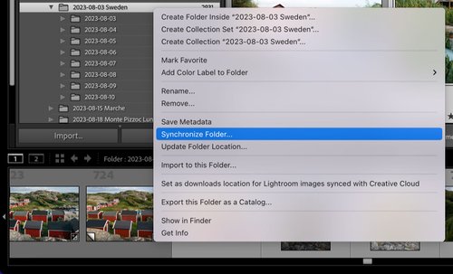 How To Manage RAW and JPEGs Images in Lightroom Like a Pro