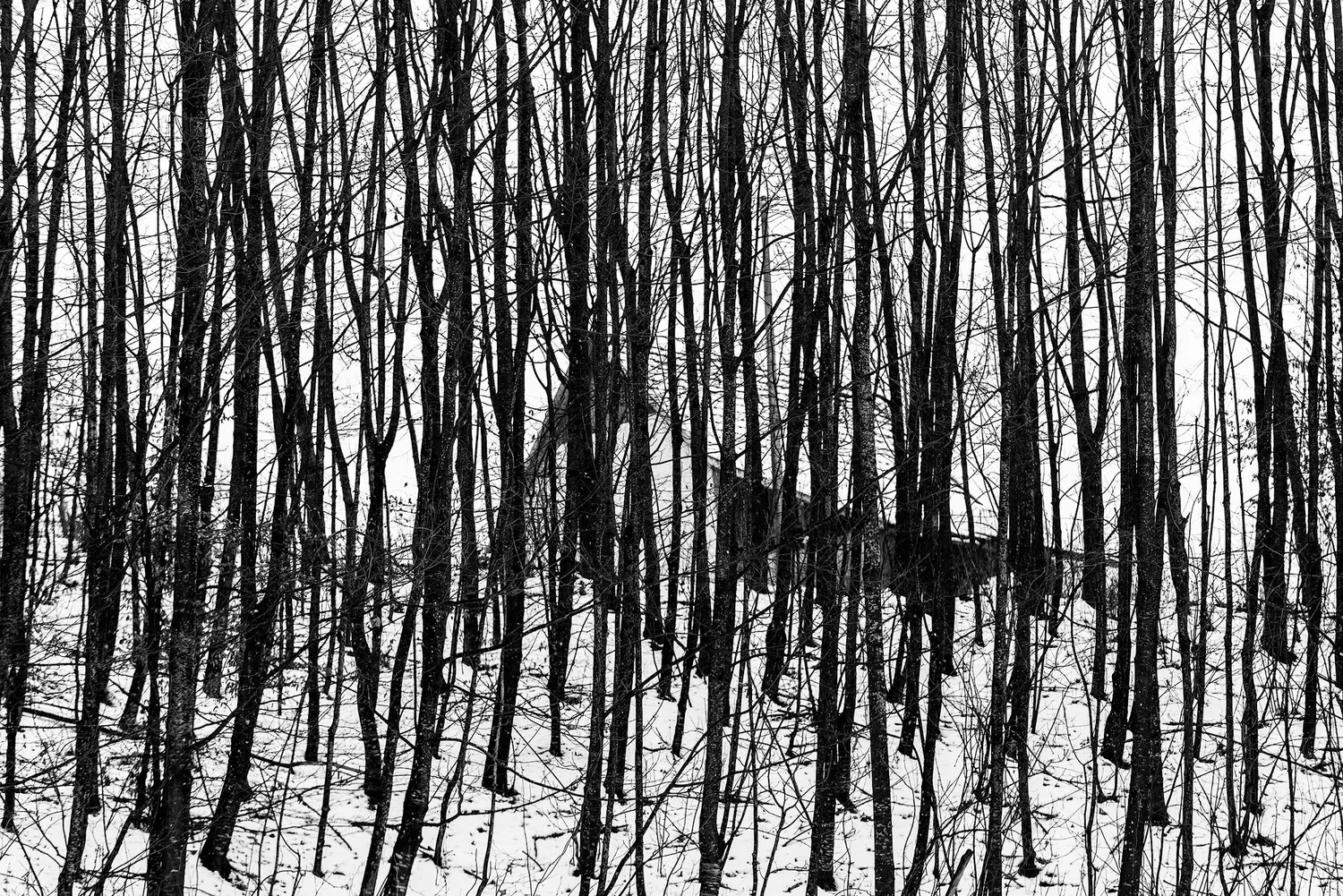 Shapes and Patterns in Landscape Photography Composition