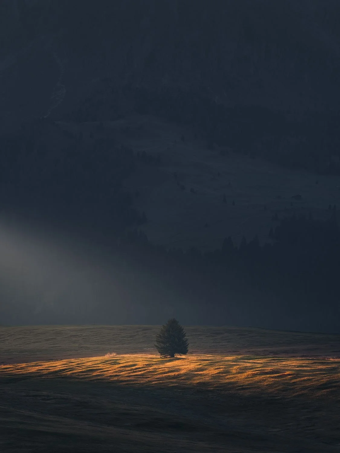 The Power of Negative Space in Your Landscape Photography