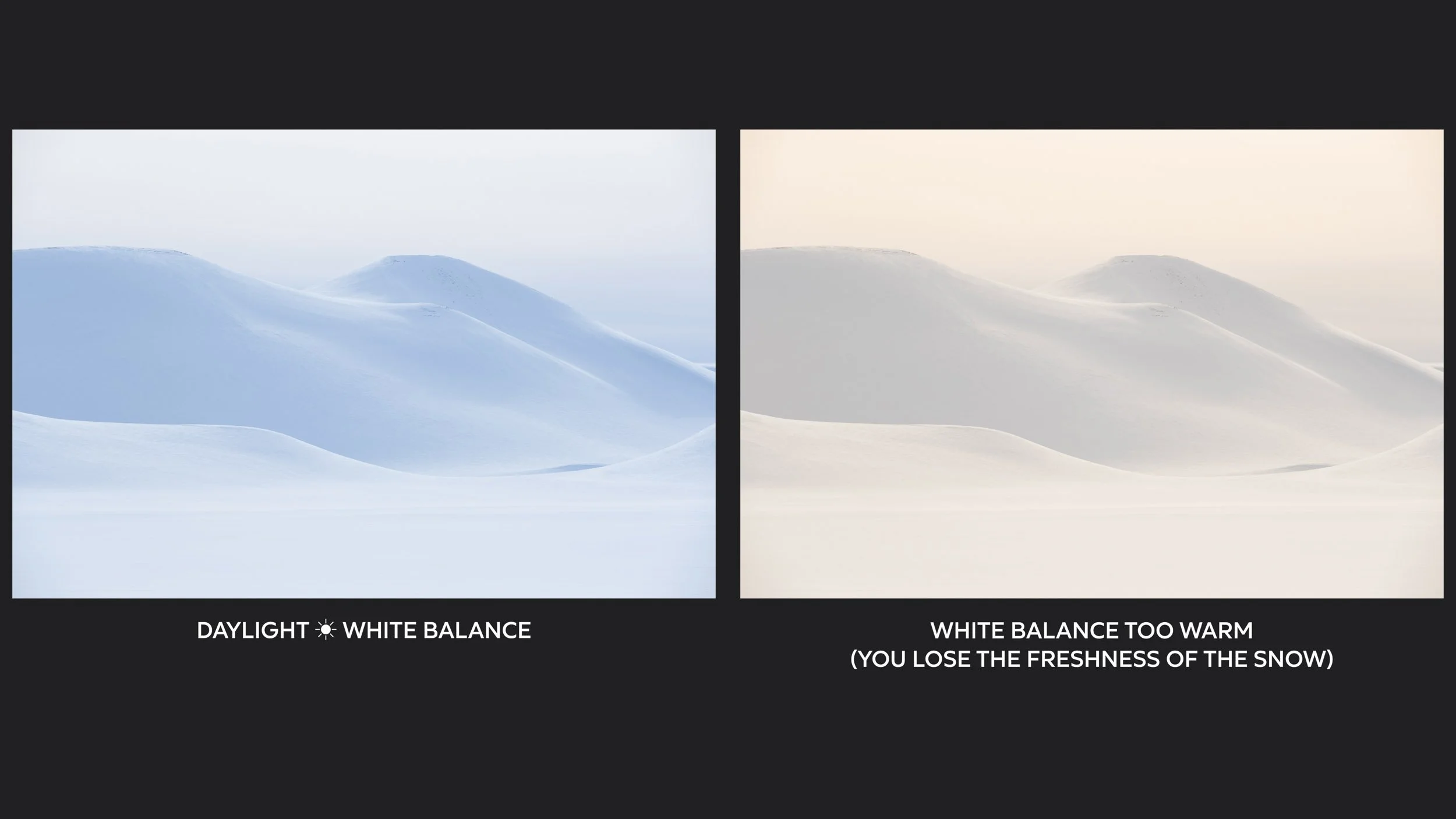 How to Perfectly Set White Balance for Landscape Photography