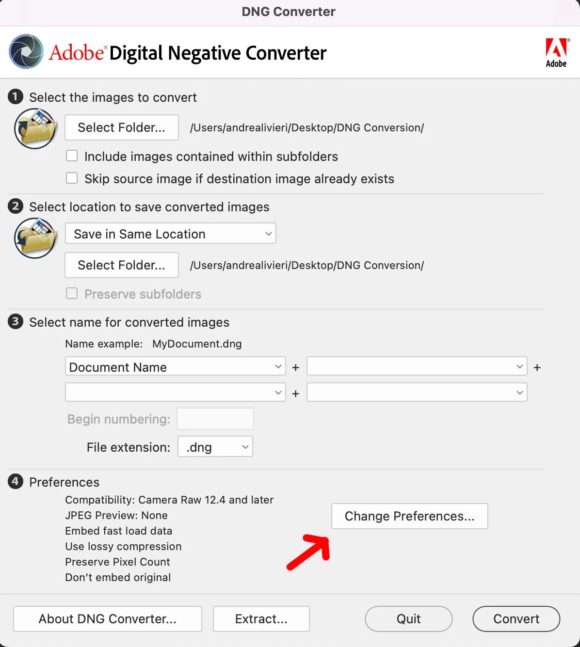 RAW vs. DNG: Which File Format Should You Use? — Andrea Livieri ...