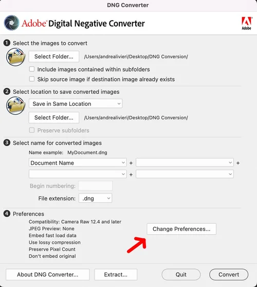 RAW vs. DNG: Which File Format Should You Use? — Andrea Livieri ...