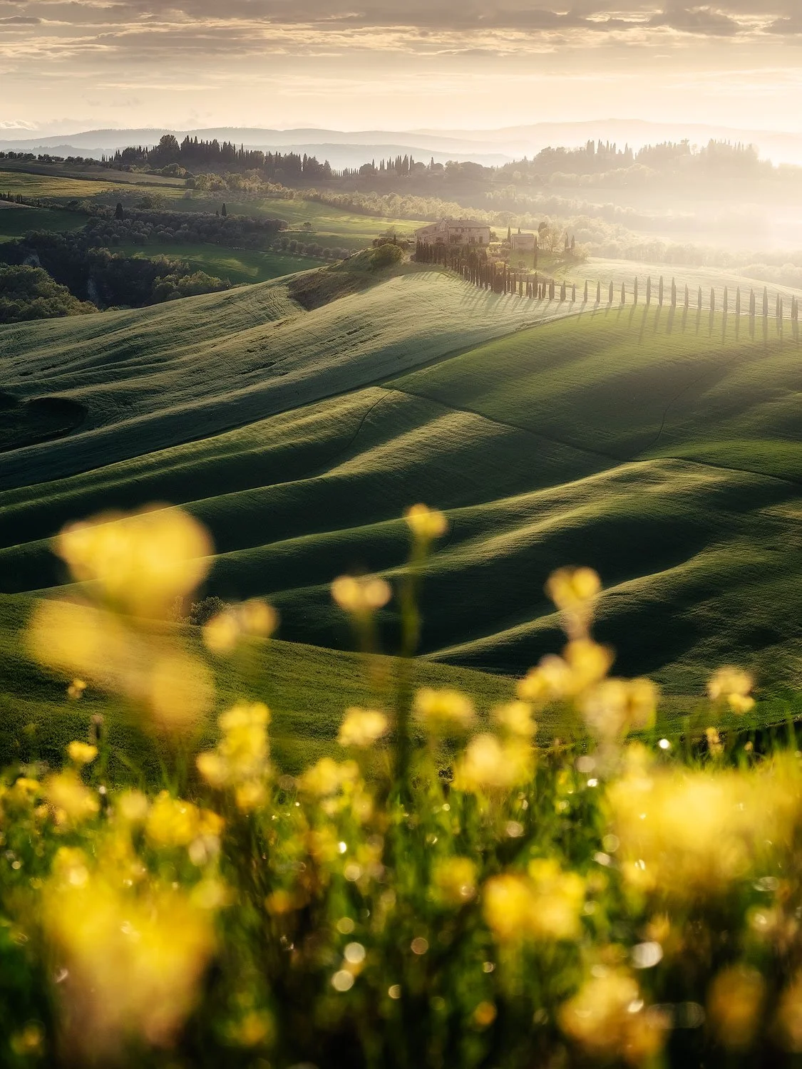 How to Use the Orton Effect Without Looking Amateur