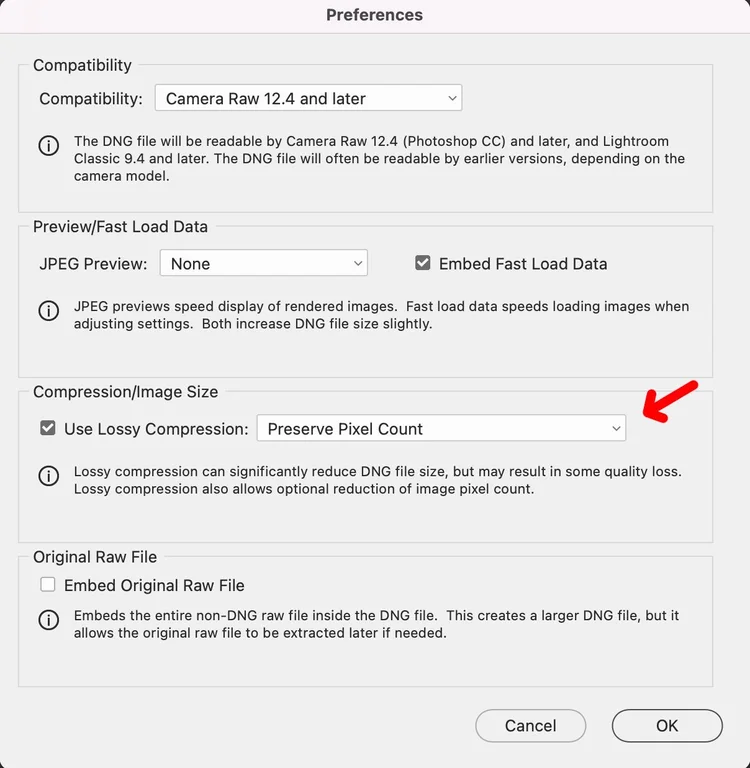 RAW vs. DNG: Which File Format Should You Use? — Andrea Livieri ...