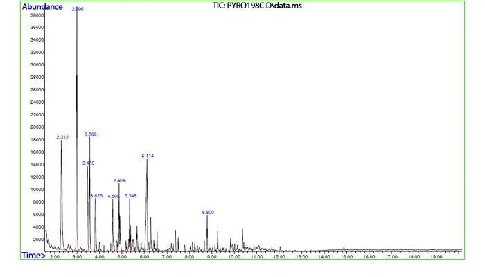 Pyrolysis Gas Chromatography - Mass Spectroscopy — FAI 2022