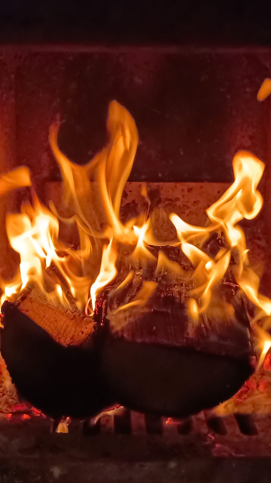 Sauna in summer! — Community Sauna Baths