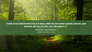 What do the Ahadith say about Animal Rights? — Green Islam