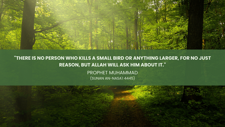 What do the Ahadith say about Animal Rights? — Green Islam