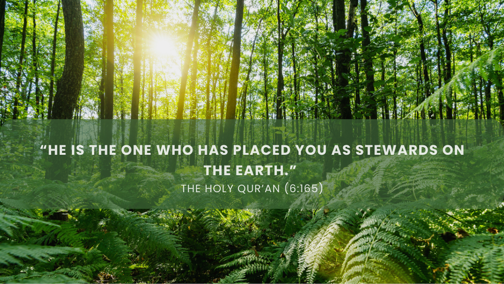 Is Environmental Protection a Duty for Muslims in Islam? — Green Islam