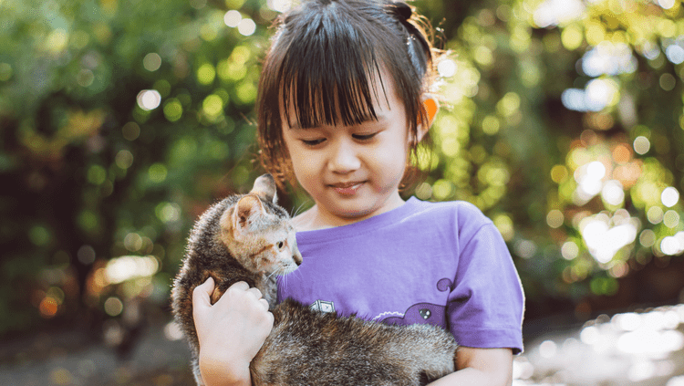 What do the Ahadith say about Animal Rights? — Green Islam