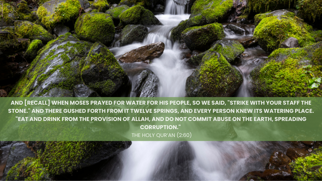 What/Who is Khalifah in Islam? — Green Islam