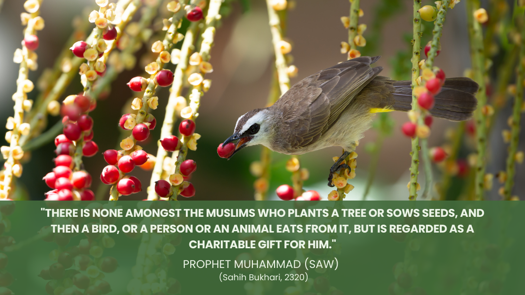 What do the Ahadith say about Animal Rights? — Green Islam