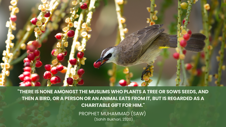 What do the Ahadith say about Animal Rights? — Green Islam