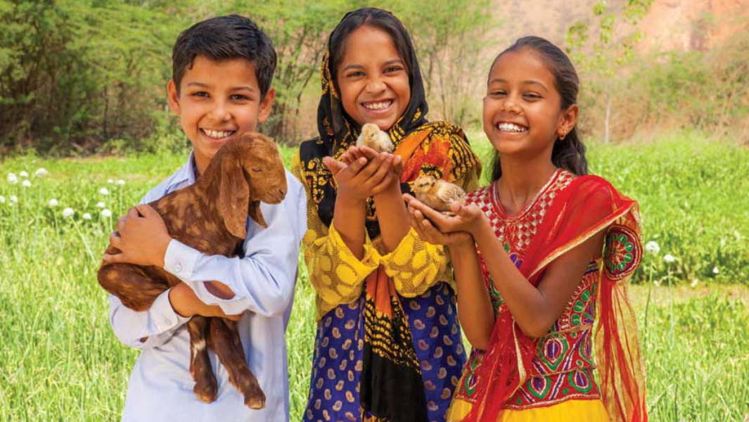 What do the Ahadith say about Animal Rights? — Green Islam